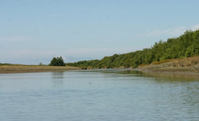 Eel River Wildlife Area in Loleta, CA - California Beaches