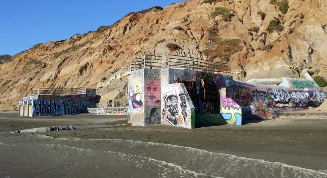 Fort Funston Beach in San Francisco, CA - California Beaches