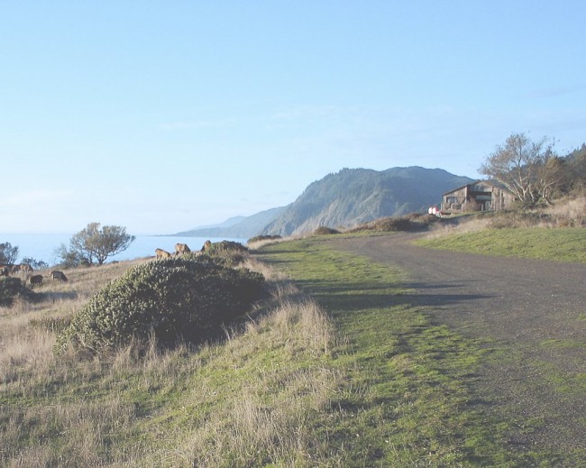 Needle Rock Beach in Whitethorn, CA - California Beaches