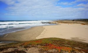 Beaches in Fort Bragg, CA - California Beaches