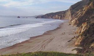 Beaches in Olema, CA - California Beaches