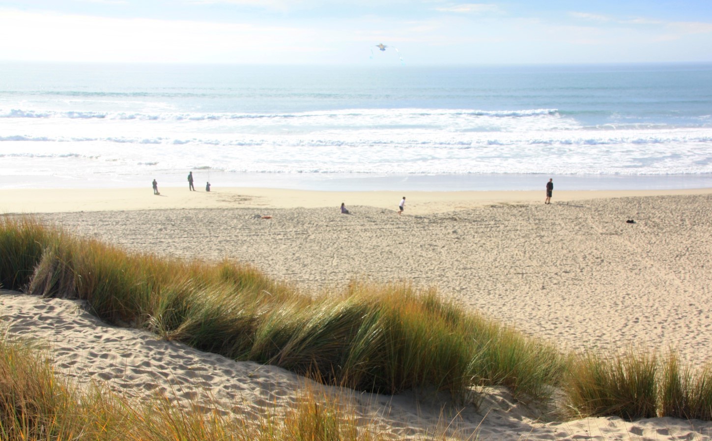 Santa Cruz County Beaches