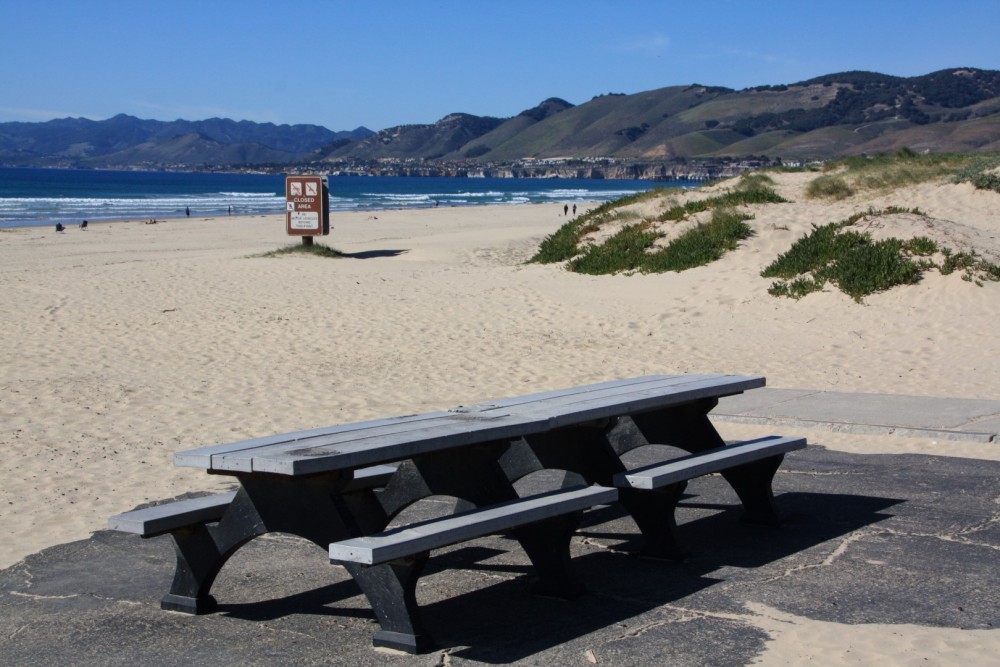 Pismo State Beach Beaches, Activities & Map