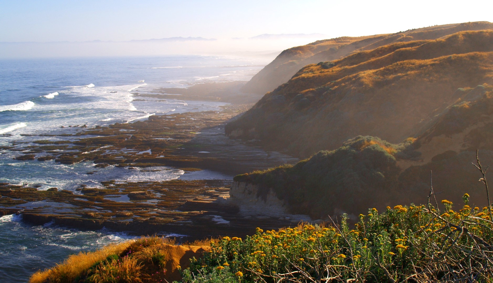 Hazard Canyon Reef - Montana de Oro State Park in Los Osos, CA ...