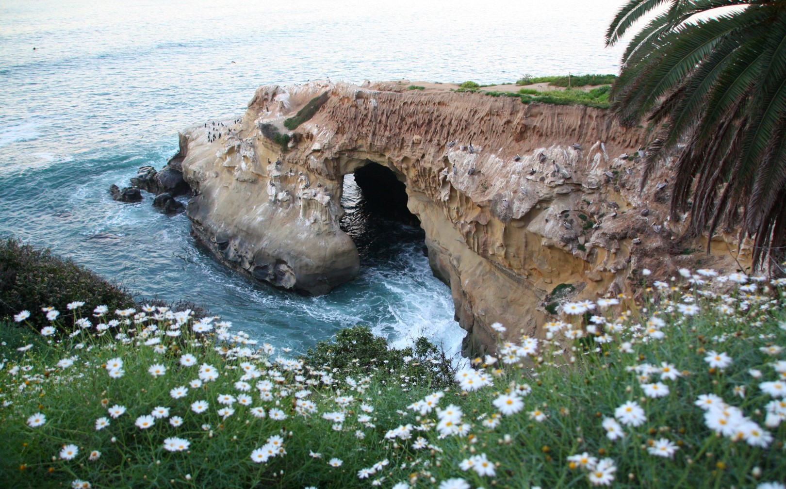 Best Rock Arches at California Beaches - California Beaches