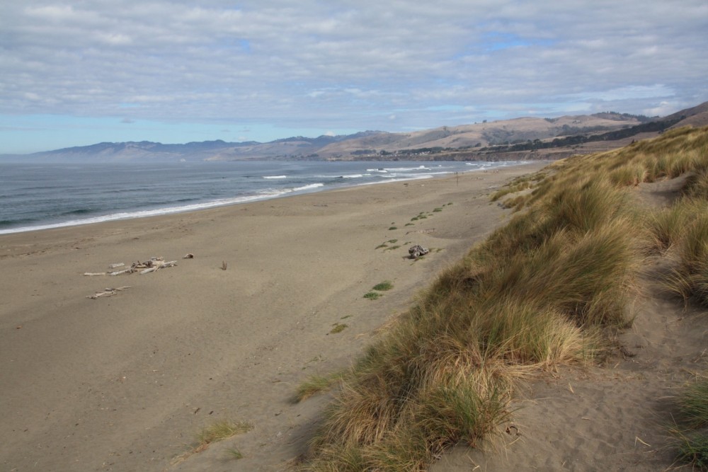 15 Gorgeous Beaches In Northern California You Must See - California ...