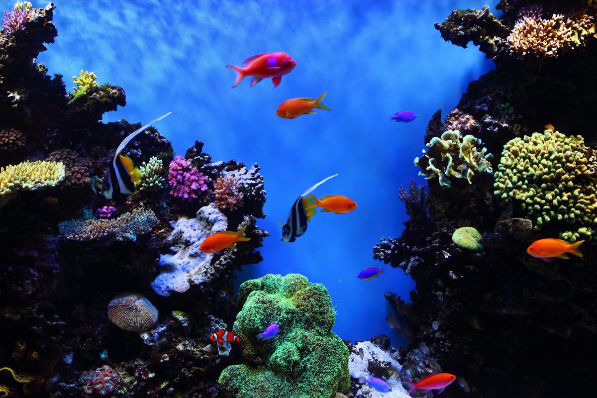 17 Places on the California Coast You Should Visit - California Beaches