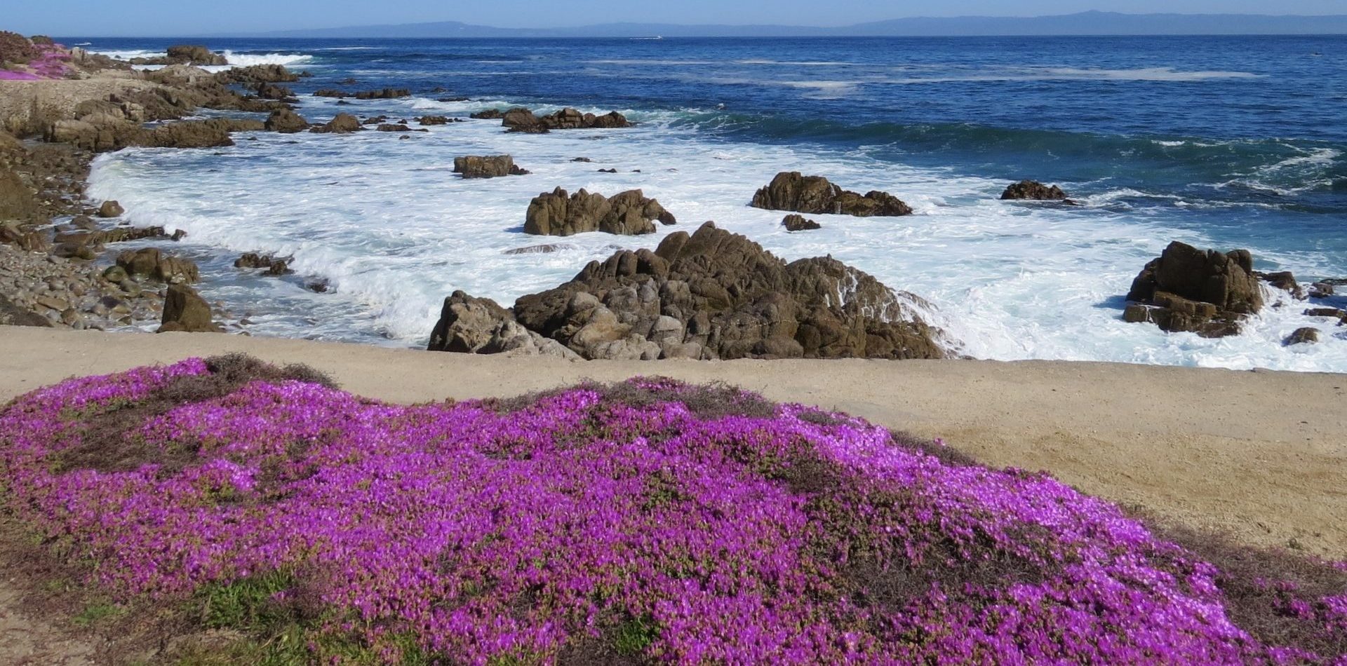 Beaches in Pacific Grove, CA - California Beaches