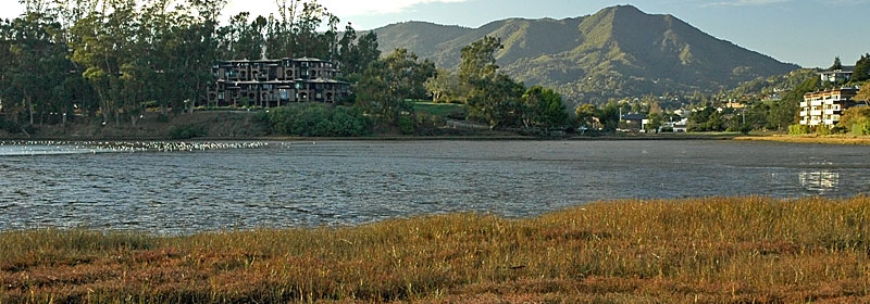 Bothin Marsh Preserve, Mill Valley, CA - California Beaches