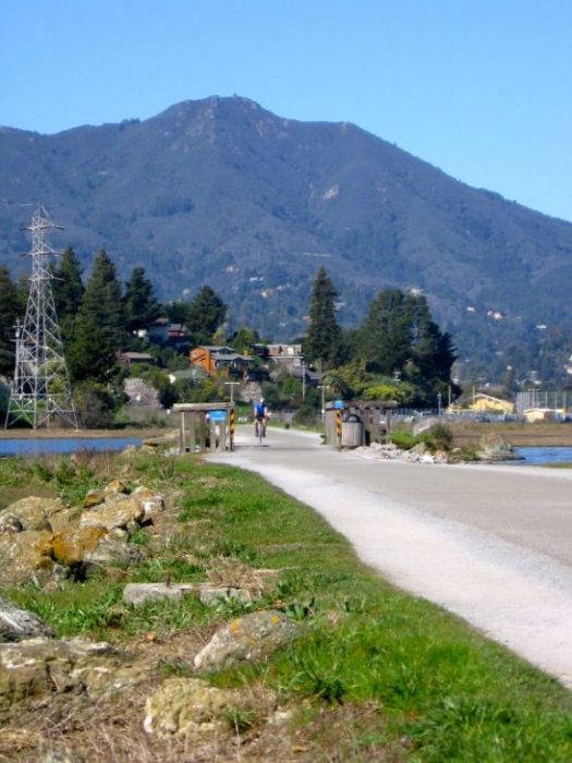 Bothin Marsh Preserve, Mill Valley, CA - California Beaches