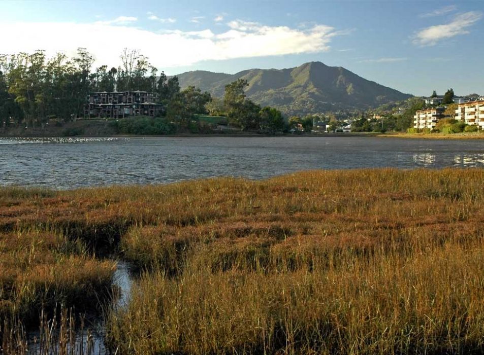 Bothin Marsh Preserve, Mill Valley, CA - California Beaches