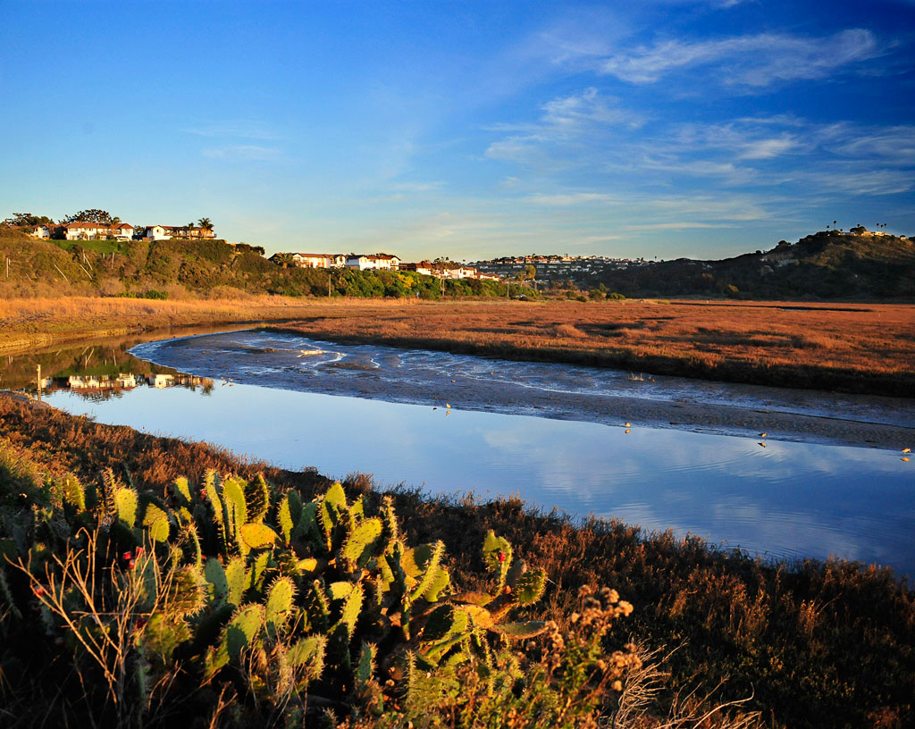 A Cardiff-by-the-Sea Weekend Getaway, California Beaches