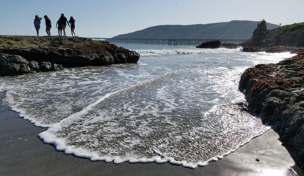 Cayucos State Beach in Cayucos, CA - California Beaches