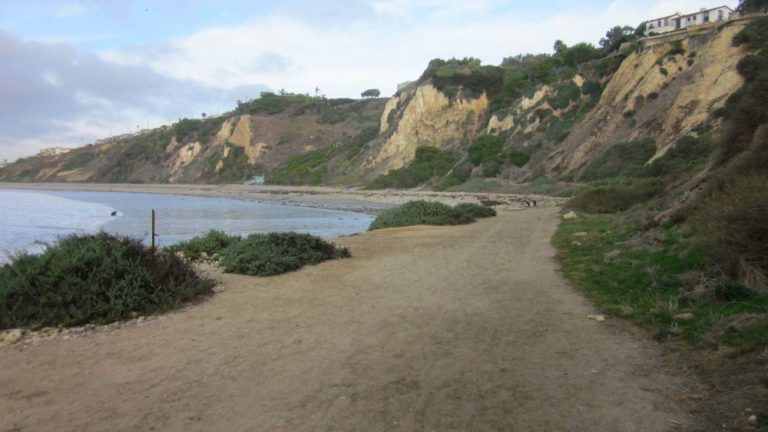 Big Rock Beach in Malibu, CA - California Beaches