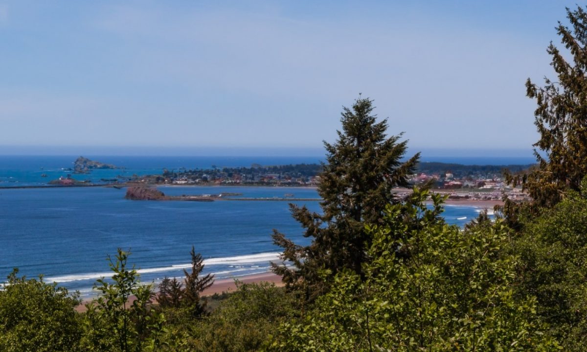 Gold Bluffs Beach in Orick, CA - California Beaches