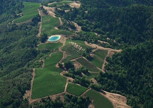 Fort Ross Vineyard and Winery, Jenner, CA - California Beaches