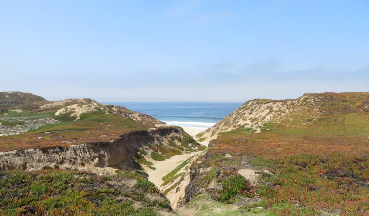Monterey County Beaches - California Beaches