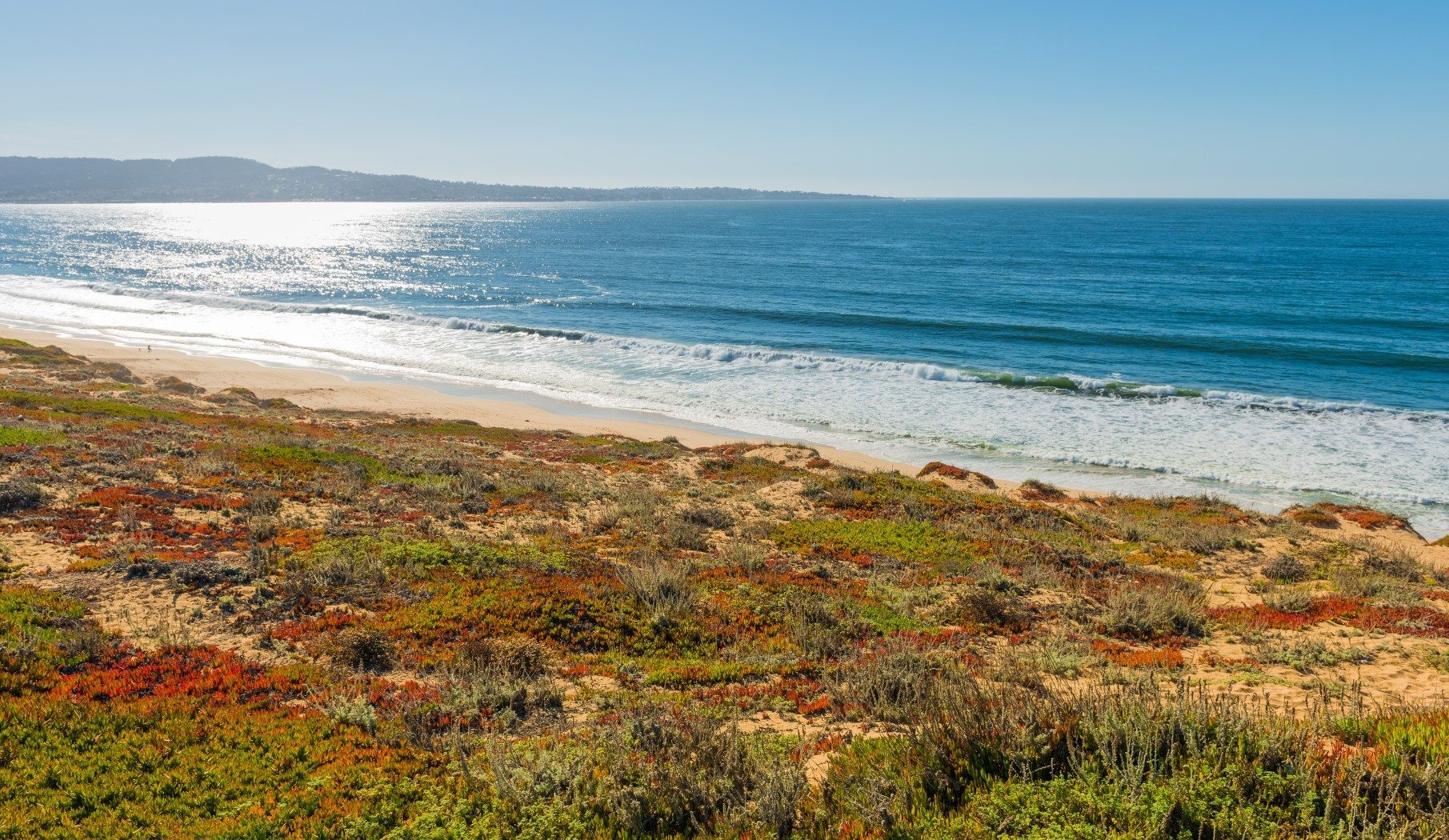 Monterey County Beaches - California Beaches