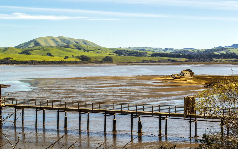 Marin County Beaches