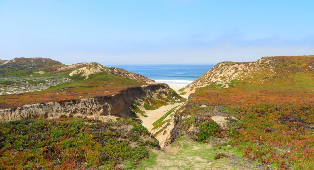 Best Sand Dunes on the California Coast - California Beaches