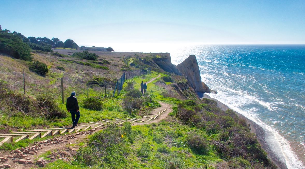 Pelican Bluffs Preserve in Point Arena, CA - California Beaches