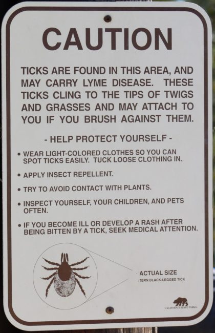 Ticks at California Beaches - California Beaches