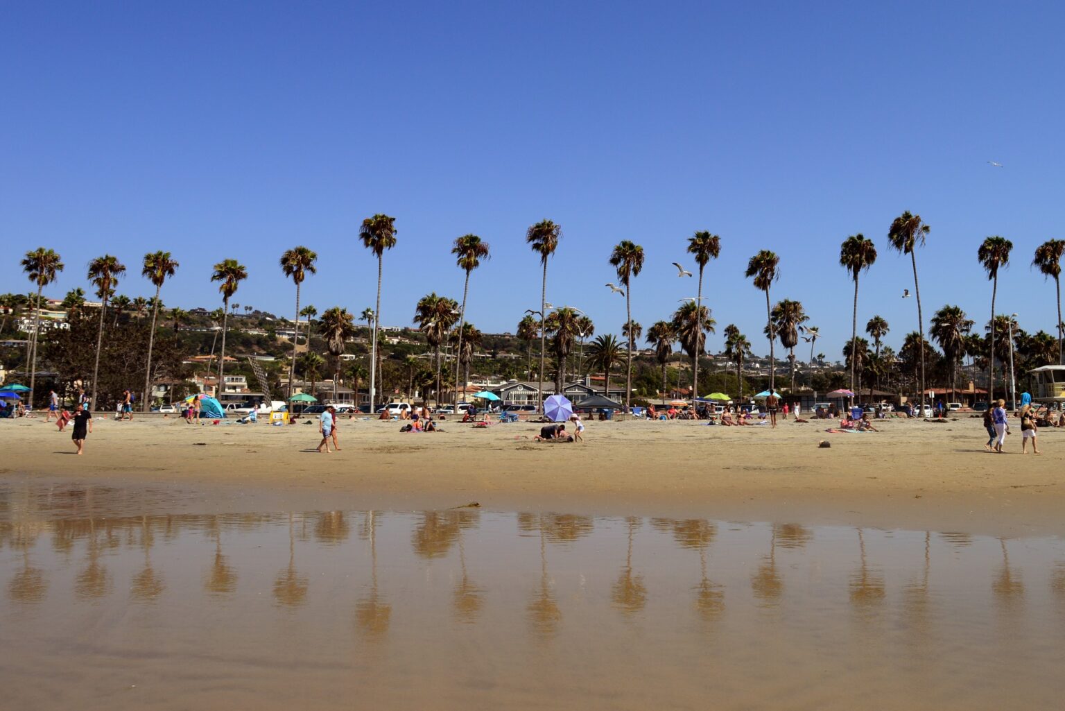 Scripps Beach in La Jolla, CA - California Beaches