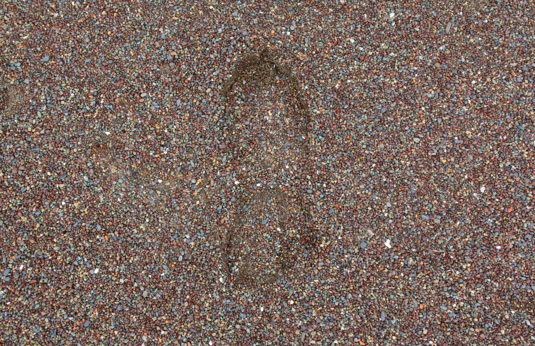 California's Colorful Beach Sand - Black, White, Purple & More Beaches