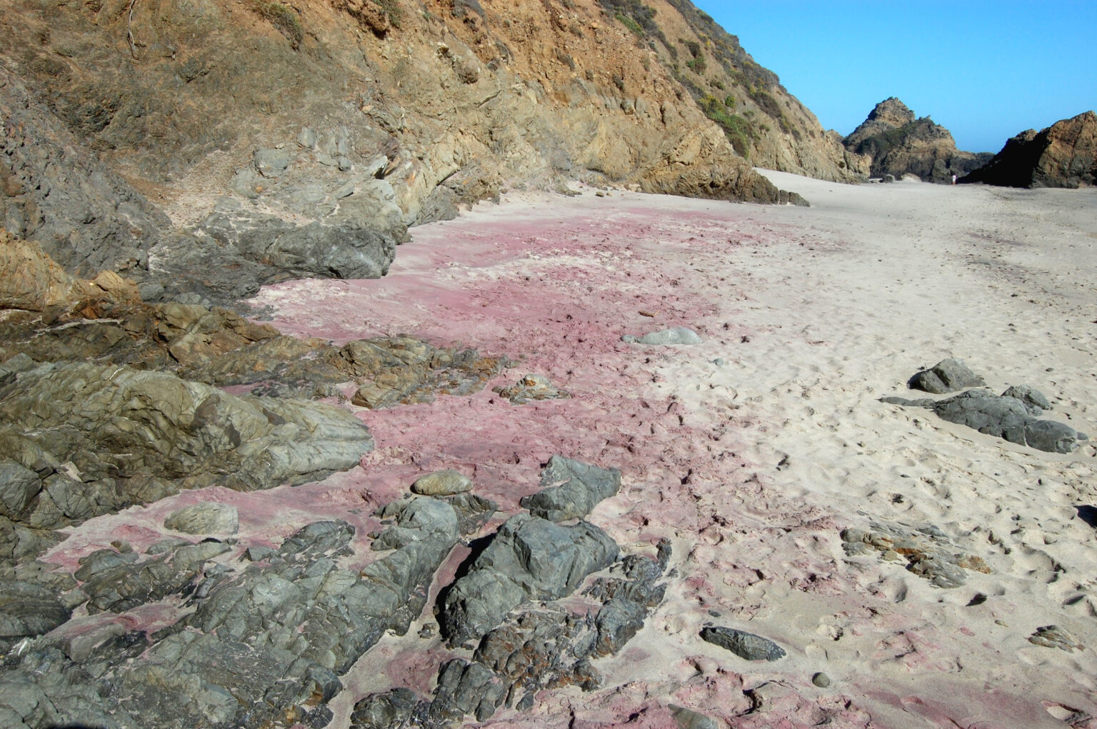 Rodeo Beach in Sausalito, CA - California Beaches